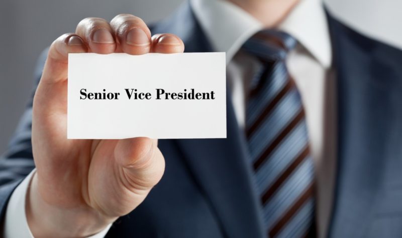 Senior Vice President Job Description – HR Insider