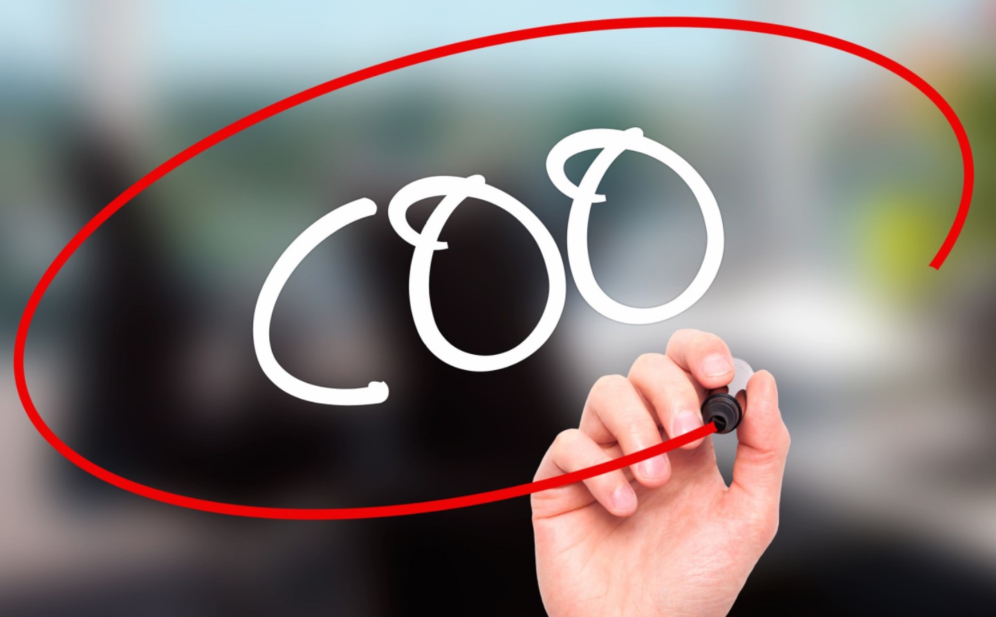 Chief Operating Officer (COO) Job Description – HR Insider